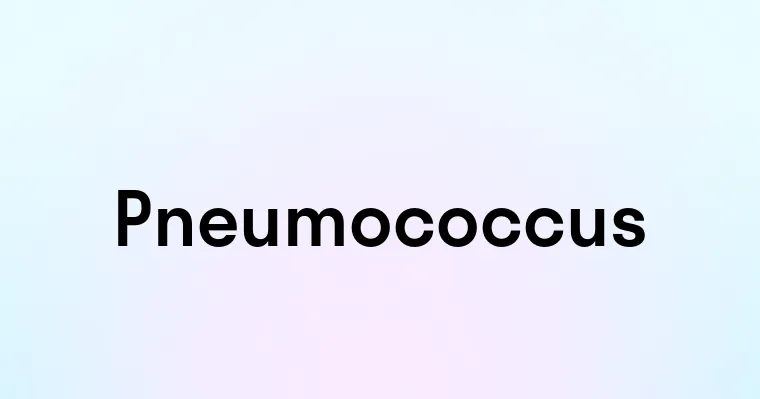 Pneumococcus — перевод, транскрипция, произношение и примеры