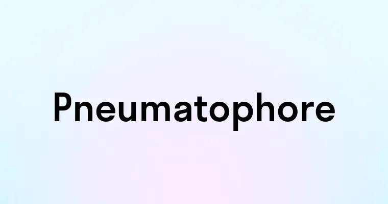 Pneumatophore — перевод, транскрипция, произношение и примеры