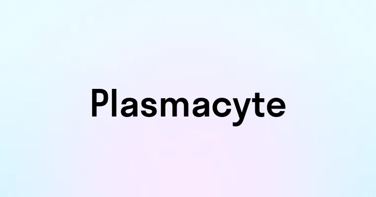 Plasmacyte — перевод, транскрипция, произношение и примеры