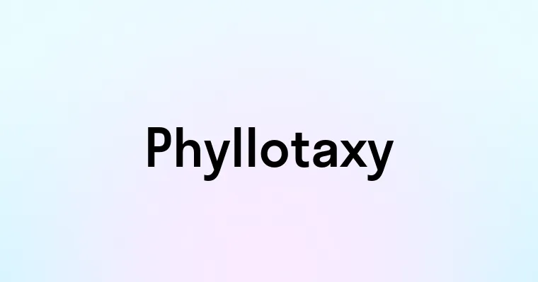 Phyllotaxy — перевод, транскрипция, произношение и примеры