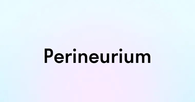 Perineurium — перевод, транскрипция, произношение и примеры