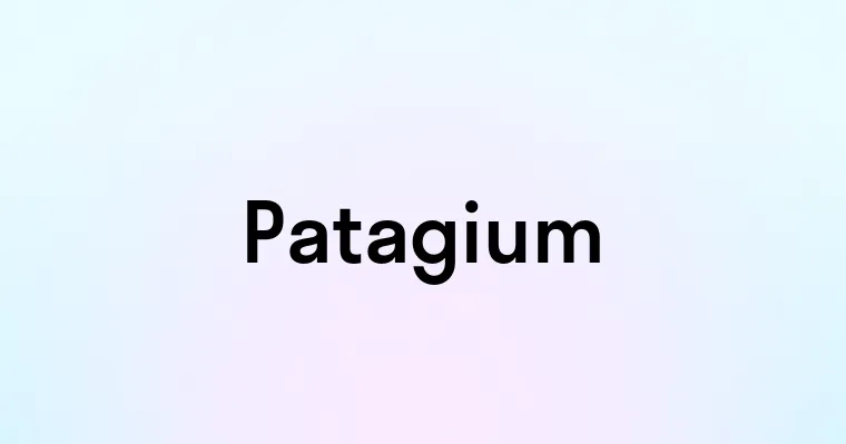 Patagium — перевод, транскрипция, произношение и примеры