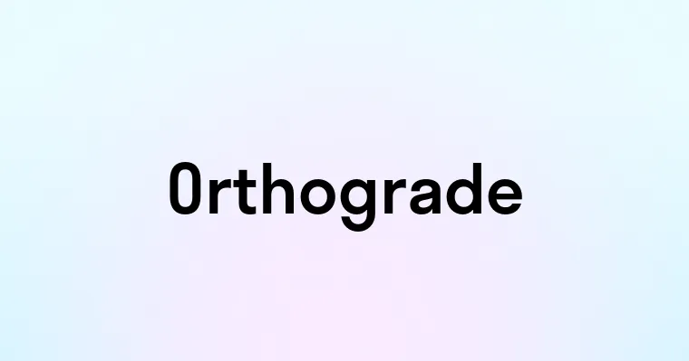 Orthograde — перевод, транскрипция, произношение и примеры