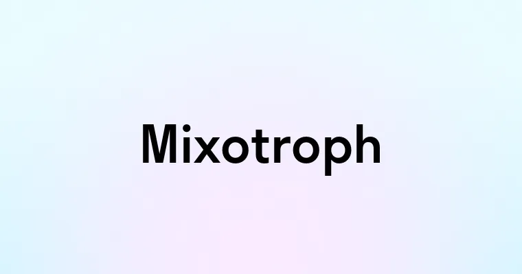 Mixotroph — перевод, транскрипция, произношение и примеры