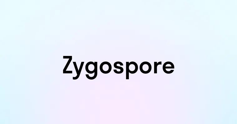 Zygospore — перевод, транскрипция, произношение и примеры