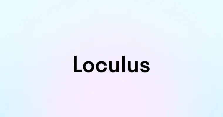 Loculus — перевод, транскрипция, произношение и примеры