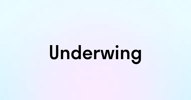 Underwing — перевод, транскрипция, произношение и примеры