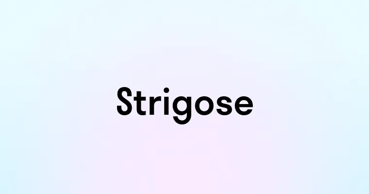 Strigose — перевод, транскрипция, произношение и примеры