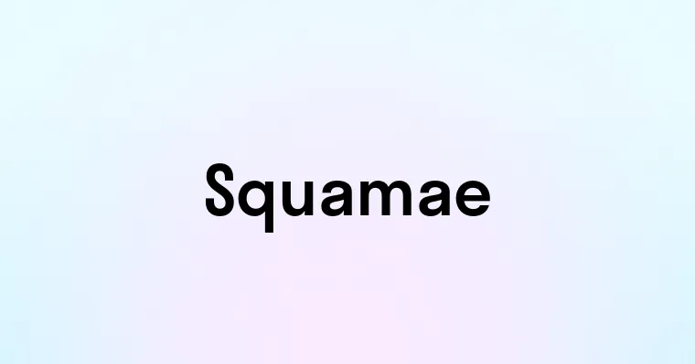 Squamae — перевод, транскрипция, произношение и примеры