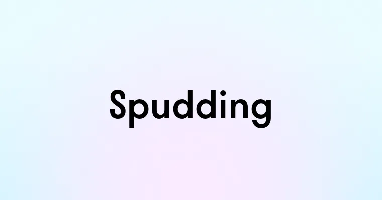 Spudding — перевод, транскрипция, произношение и примеры