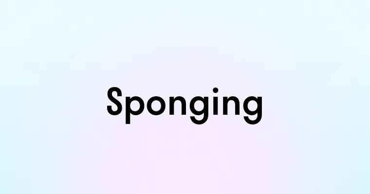 Sponging — перевод, транскрипция, произношение и примеры