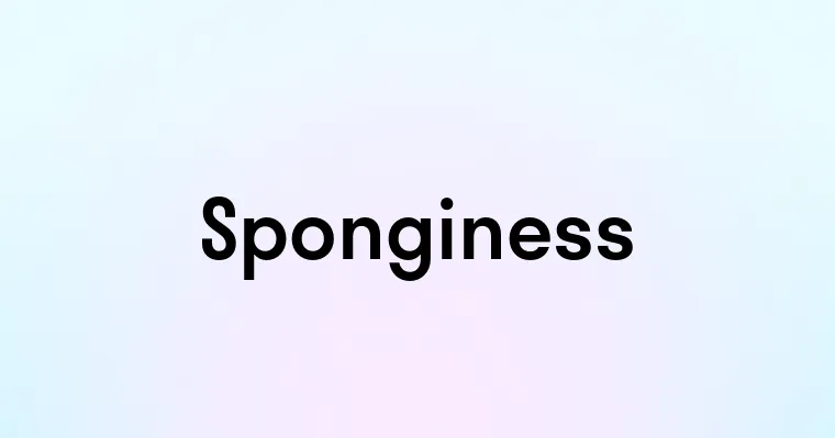 Sponginess — перевод, транскрипция, произношение и примеры