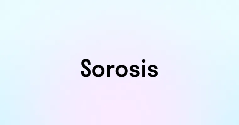 Sorosis — перевод, транскрипция, произношение и примеры