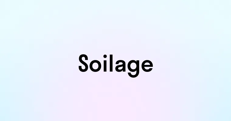 Soilage — перевод, транскрипция, произношение и примеры