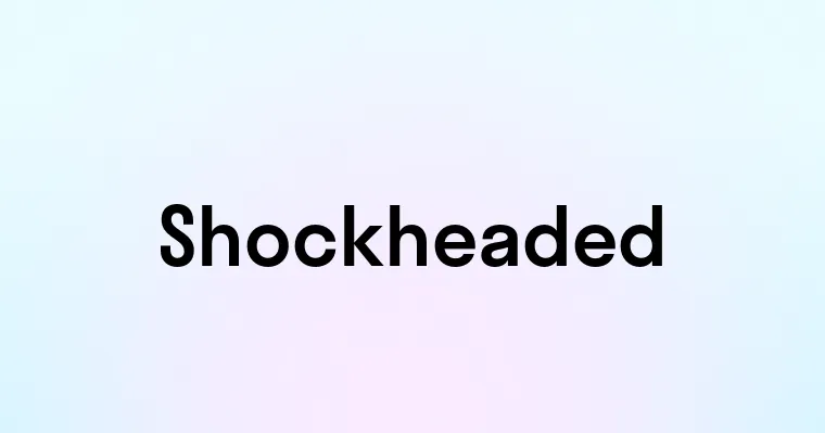 Shockheaded — перевод, транскрипция, произношение и примеры