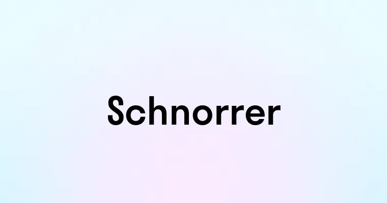 Schnorrer — перевод, транскрипция, произношение и примеры
