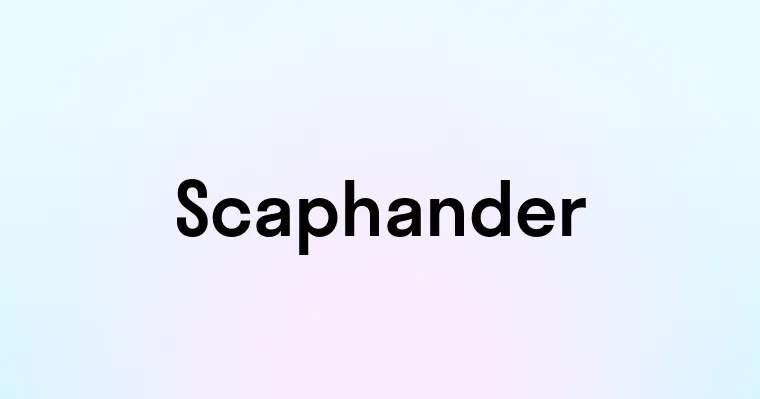Scaphander — перевод, транскрипция, произношение и примеры