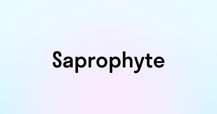 Saprophyte — перевод, транскрипция, произношение и примеры