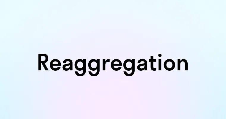 Reaggregation — перевод, транскрипция, произношение и примеры