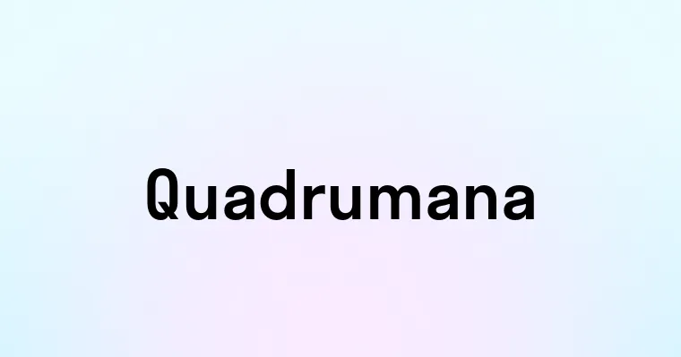 Quadrumana — перевод, транскрипция, произношение и примеры