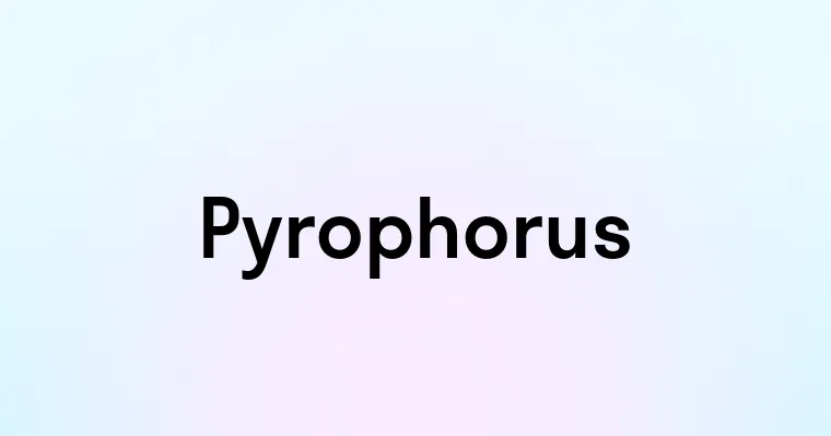 Pyrophorus — перевод, транскрипция, произношение и примеры