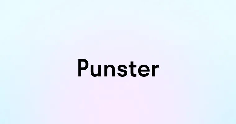 Punster — перевод, транскрипция, произношение и примеры