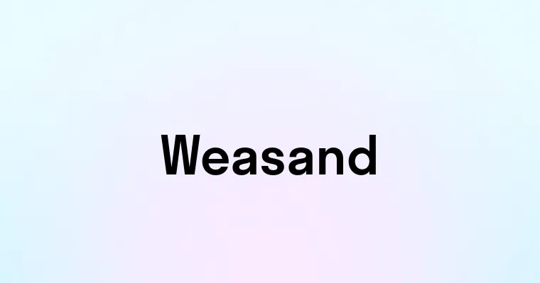 Weasand — перевод, транскрипция, произношение и примеры