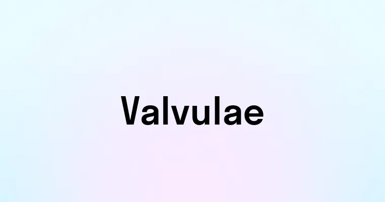 Valvulae — перевод, транскрипция, произношение и примеры