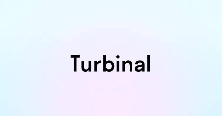 Turbinal — перевод, транскрипция, произношение и примеры