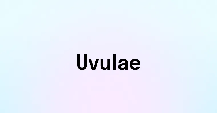 Uvulae — перевод, транскрипция, произношение и примеры