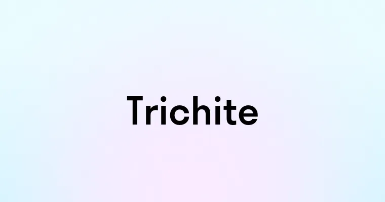 Trichite — перевод, транскрипция, произношение и примеры