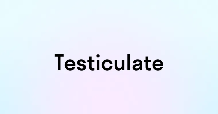 Testiculate — перевод, транскрипция, произношение и примеры