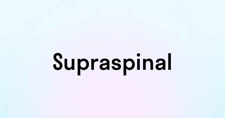 Supraspinal — перевод, транскрипция, произношение и примеры