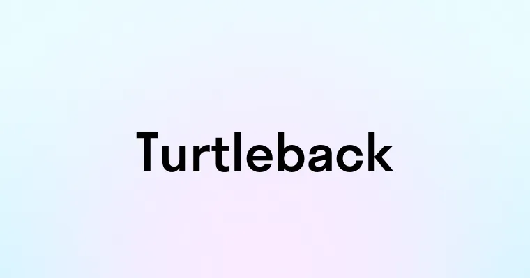 Turtleback — перевод, транскрипция, произношение и примеры
