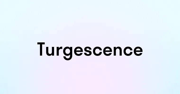 Turgescence — перевод, транскрипция, произношение и примеры
