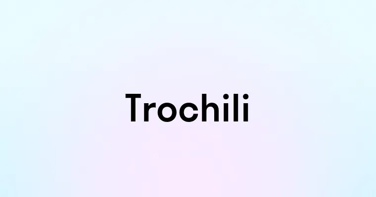 Trochili — перевод, транскрипция, произношение и примеры