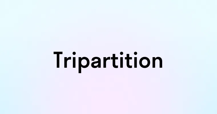 Tripartition — перевод, транскрипция, произношение и примеры