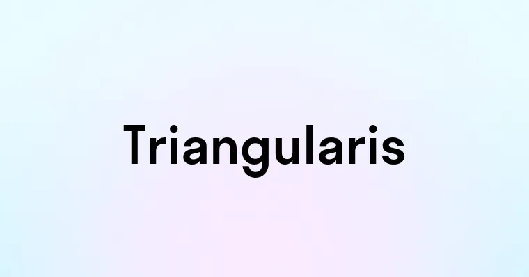 Triangularis — перевод, транскрипция, произношение и примеры
