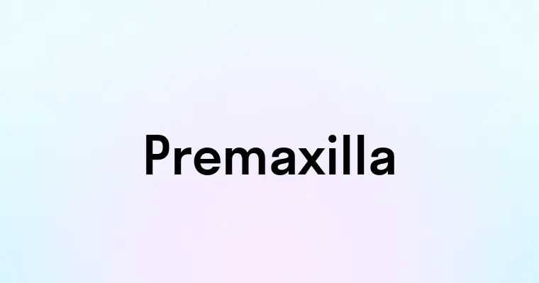 Premaxilla — перевод, транскрипция, произношение и примеры
