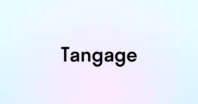 Tangage — перевод, транскрипция, произношение и примеры