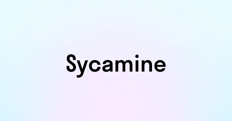 Sycamine — перевод, транскрипция, произношение и примеры