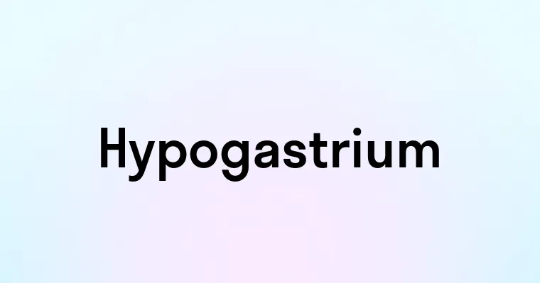 Hypogastrium — перевод, транскрипция, произношение и примеры