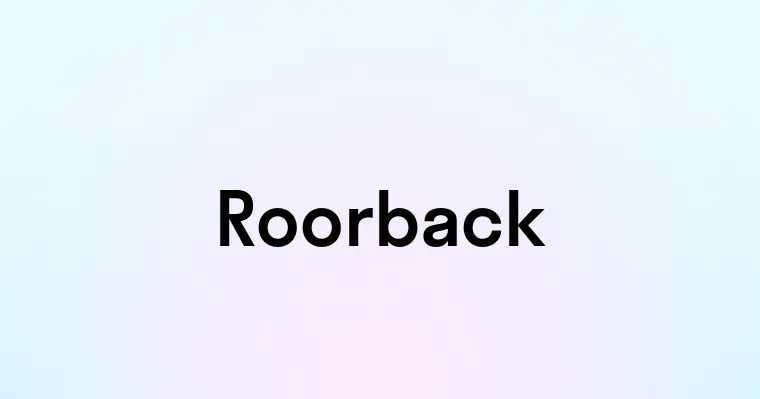Roorback — перевод, транскрипция, произношение и примеры