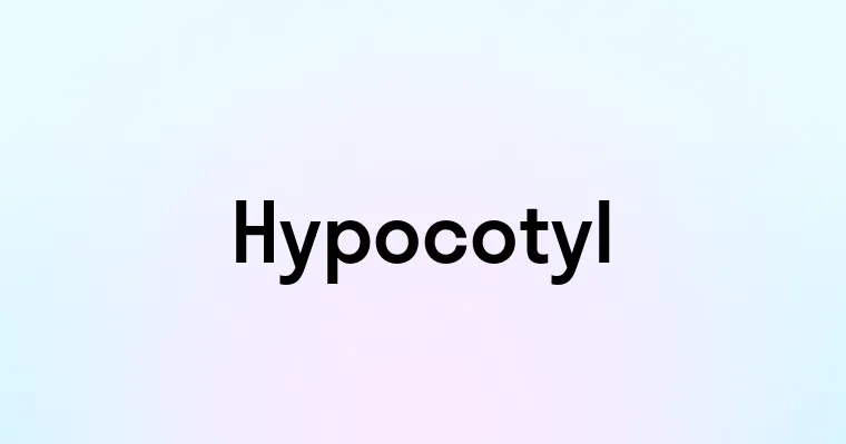 Hypocotyl — перевод, транскрипция, произношение и примеры