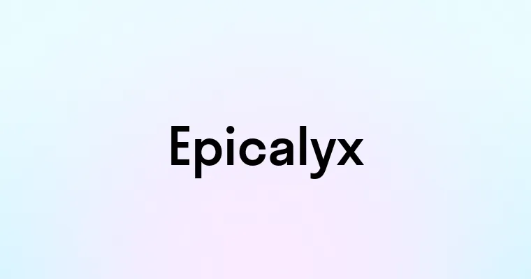 Epicalyx — перевод, транскрипция, произношение и примеры