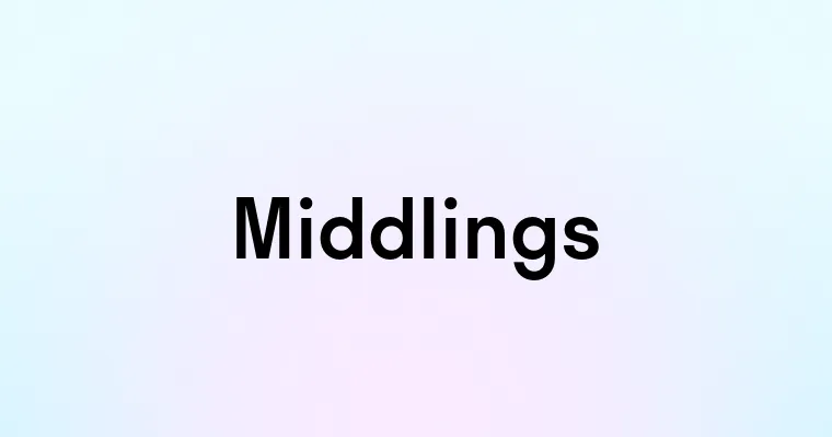 Middlings — перевод, транскрипция, произношение и примеры