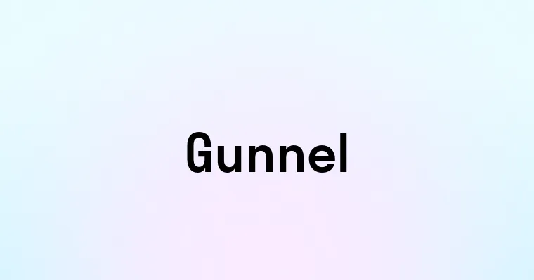 Gunnel — перевод, транскрипция, произношение и примеры