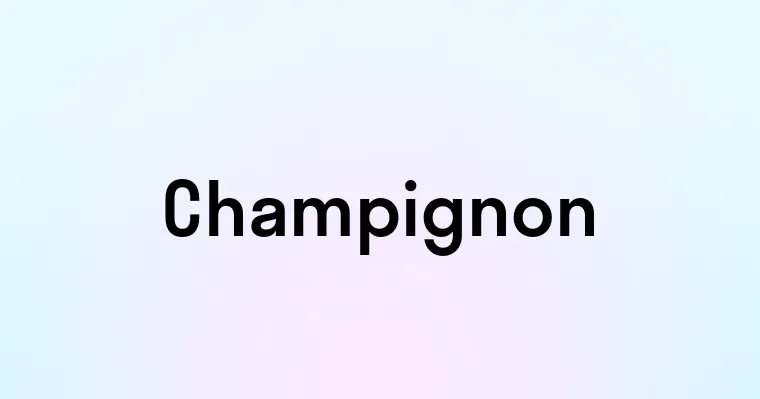 Champignon — перевод, транскрипция, произношение и примеры