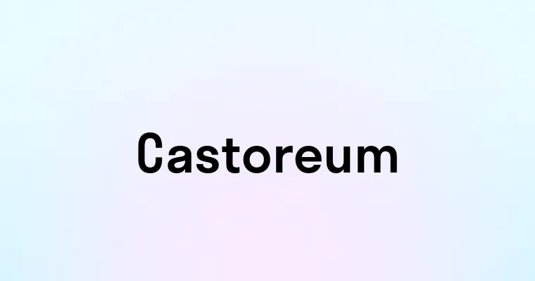 Castoreum — перевод, транскрипция, произношение и примеры