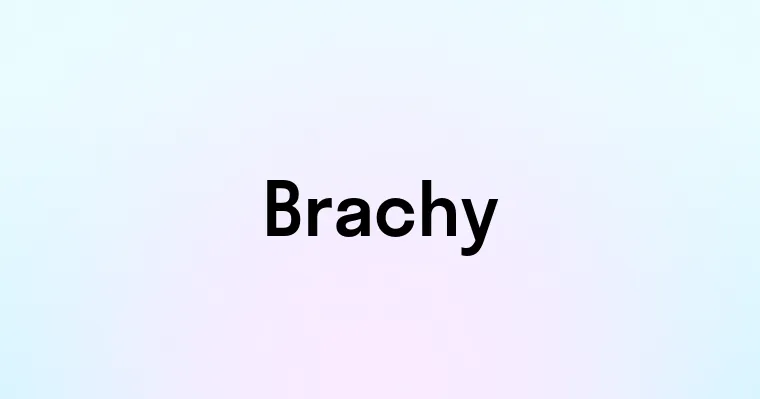 Brachy — перевод, транскрипция, произношение и примеры